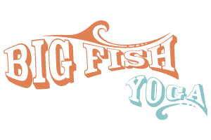 BFY | 1st Place Sports