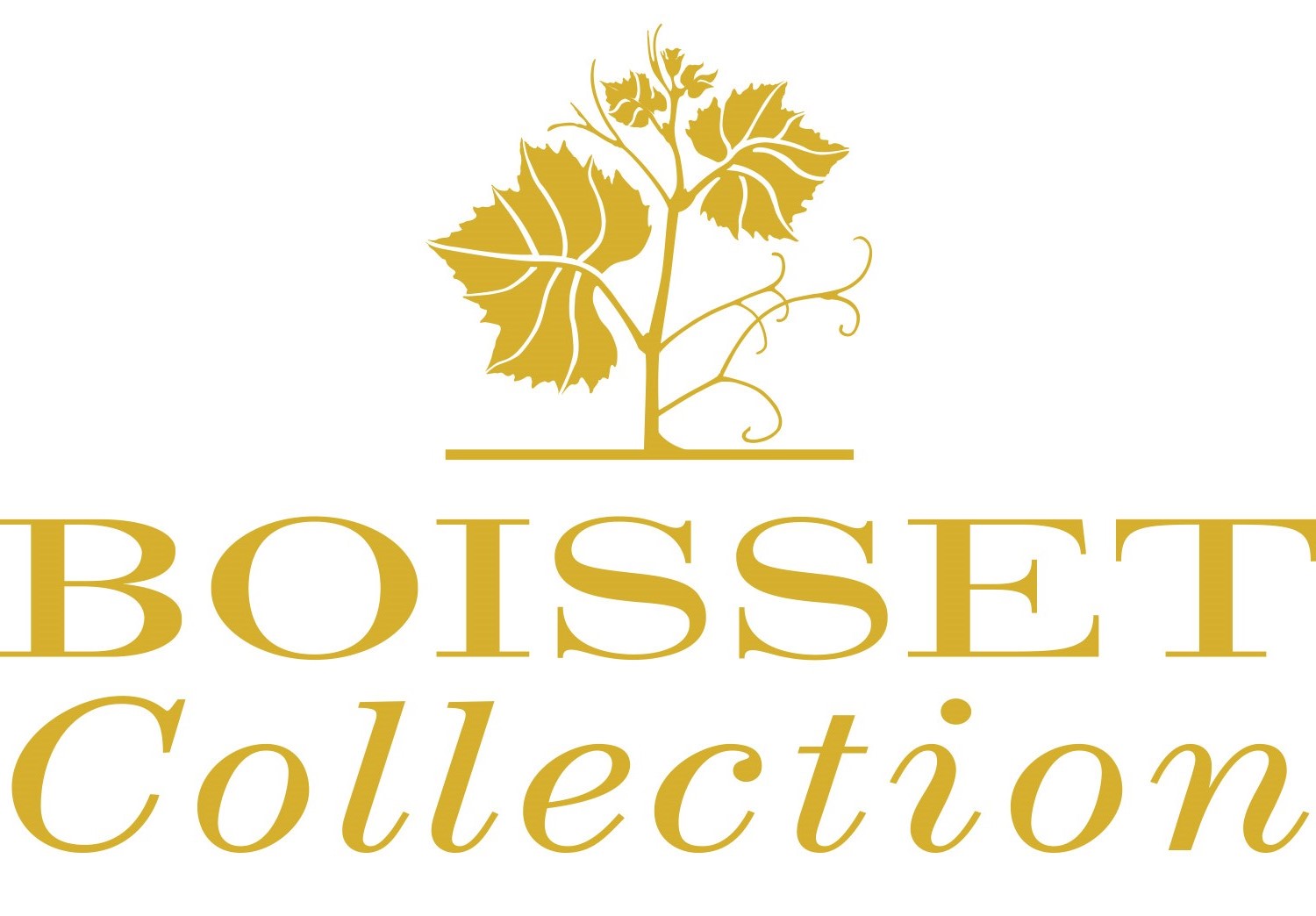 Chemo Noir 1 Mile and Wine Tasting Event | 1st Place Sports